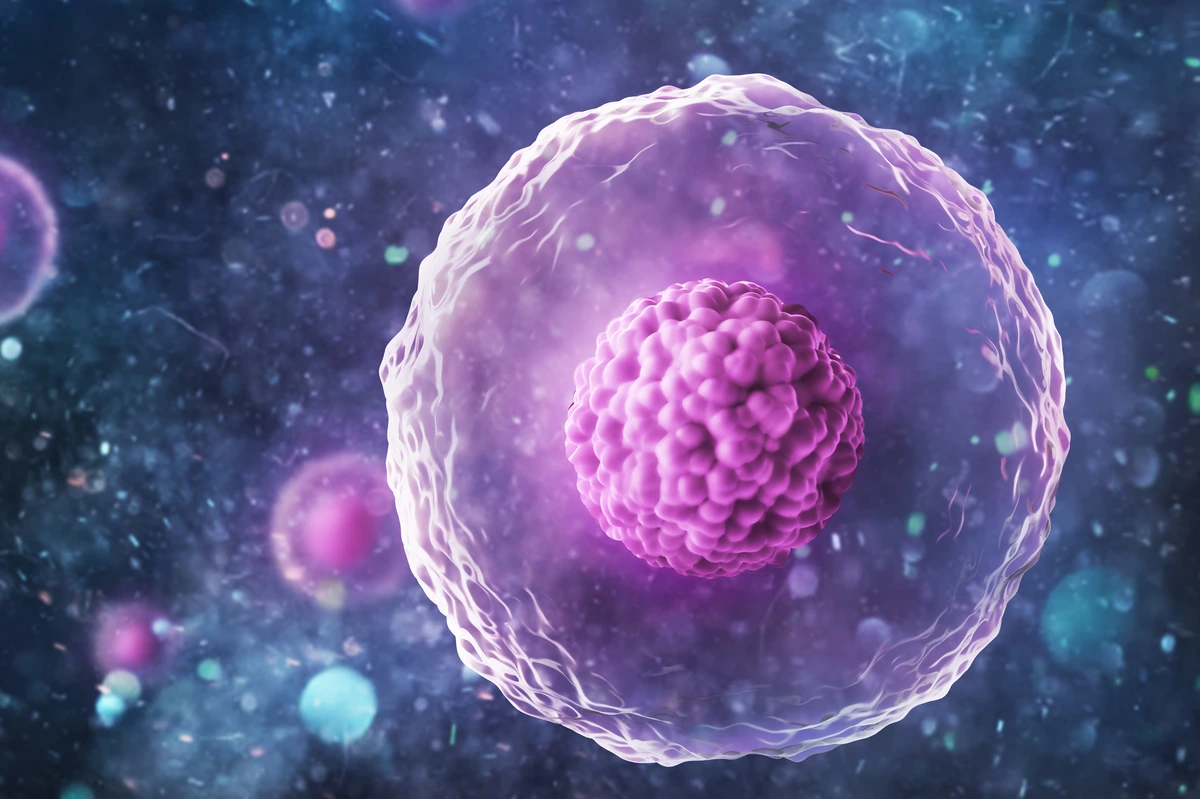 Zooming in Reveals a World of Detail: New Method Unveils the Inner ...