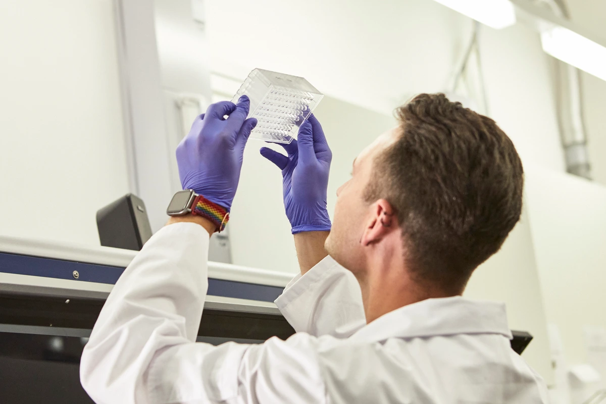 Bavaria-Wide Testing for Sars-COV2 Antibodies in Combination With ...