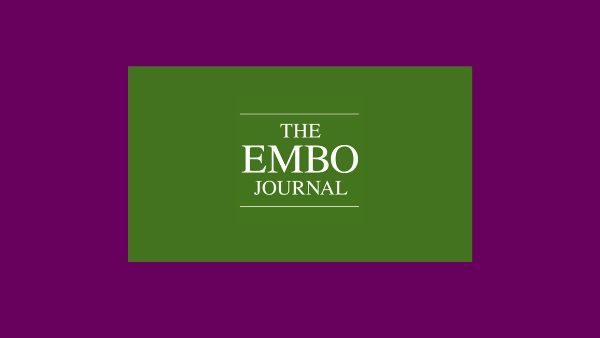 12th Helmholtz Diabetes Conference