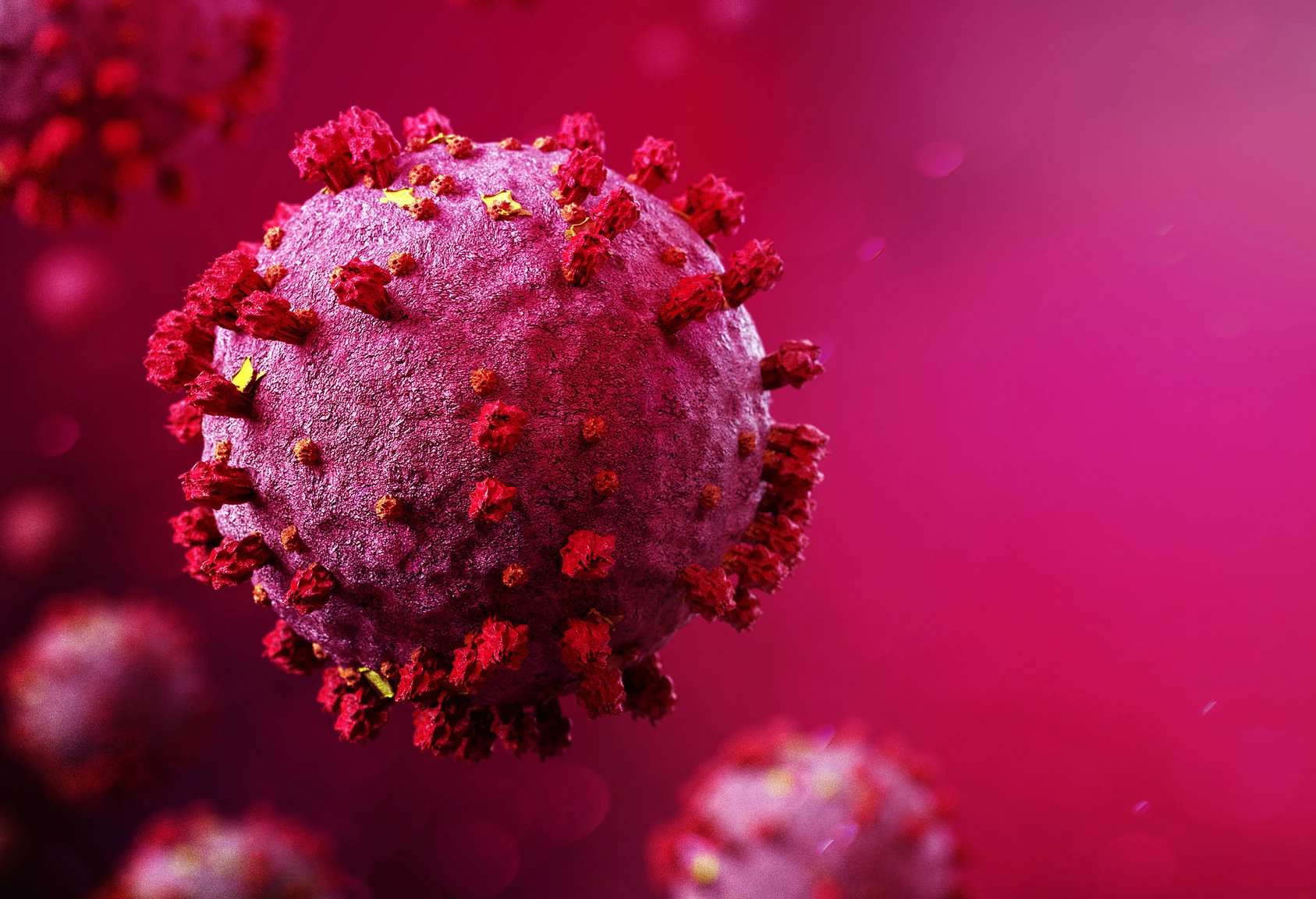 Helmholtz Immunology