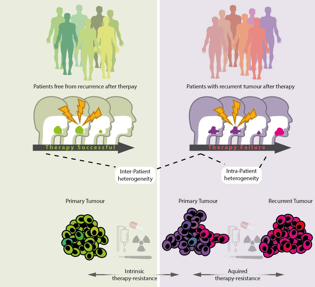 Tumor Relapse in Head and Neck show molecular Dynamics and Heterogeneity