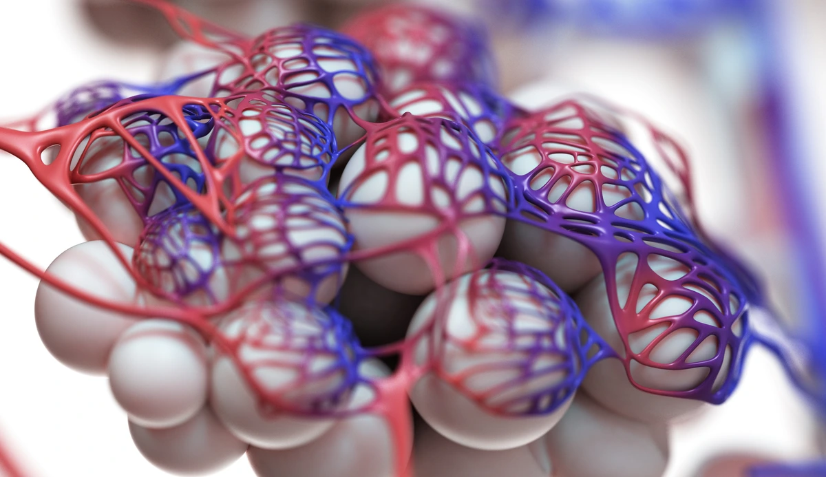 New Basal Cell Marker as target in Idiopathic Pulmonary Fibrosis