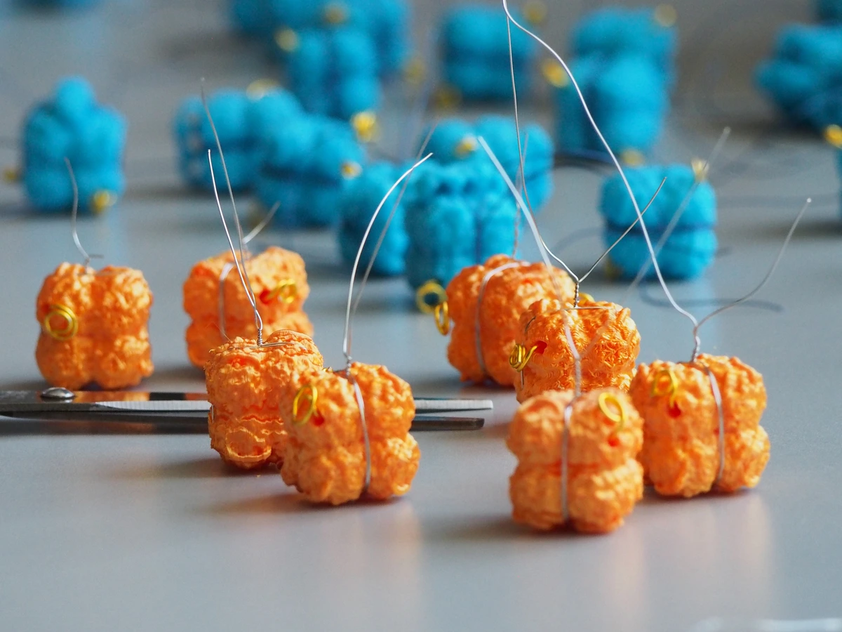 From idea to implementation – Anna Dumitriu ran a workshop about her ...