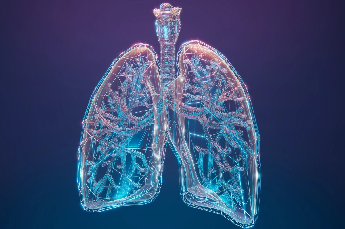 First Integrated Single-Cell Atlas of the Human Lung