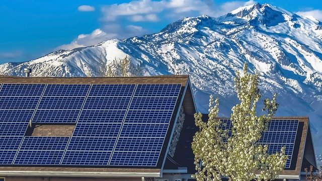 BayWa r.e. Partners with REV Renewables to Manage Solar Assets