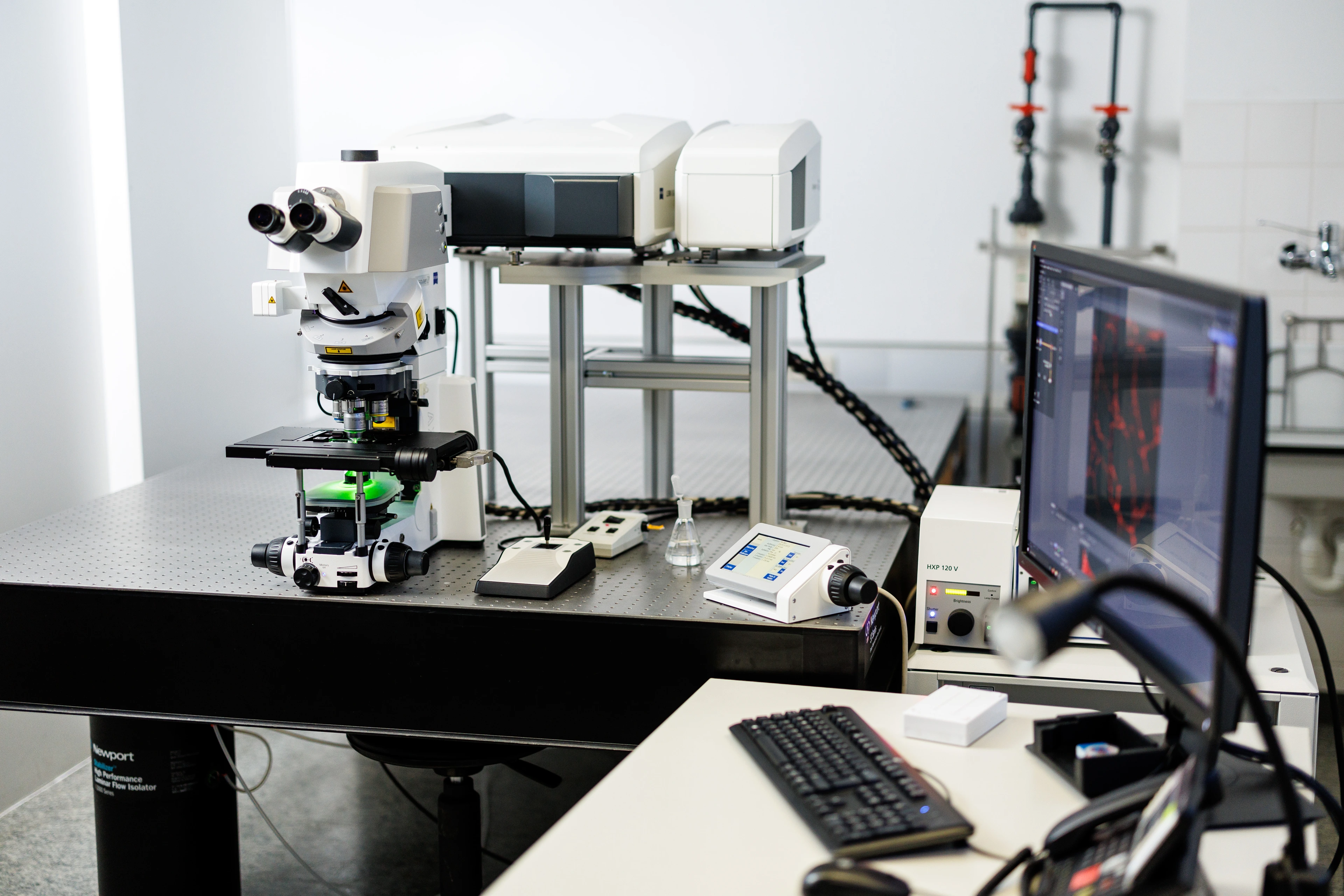 Microscopy Services
