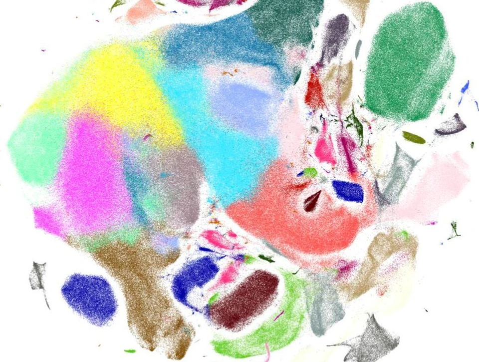 Single-Cell Methodologies