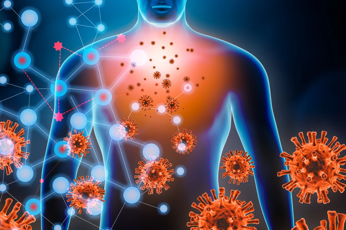 Landscape of molecular contacts: How the coronavirus SARS-CoV-2 ...