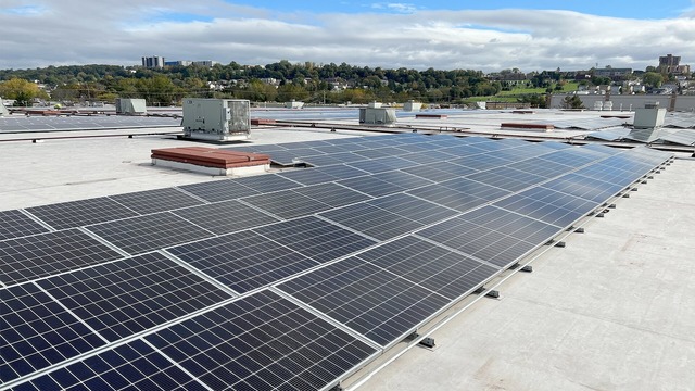 BayWa r.e. Partners with REV Renewables to Manage Solar Assets